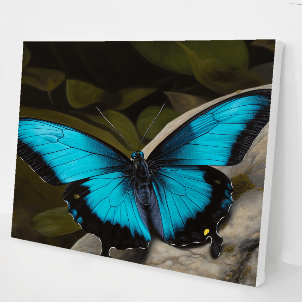 Paint Plot Beautiful Butterfly Paint by Number Kit