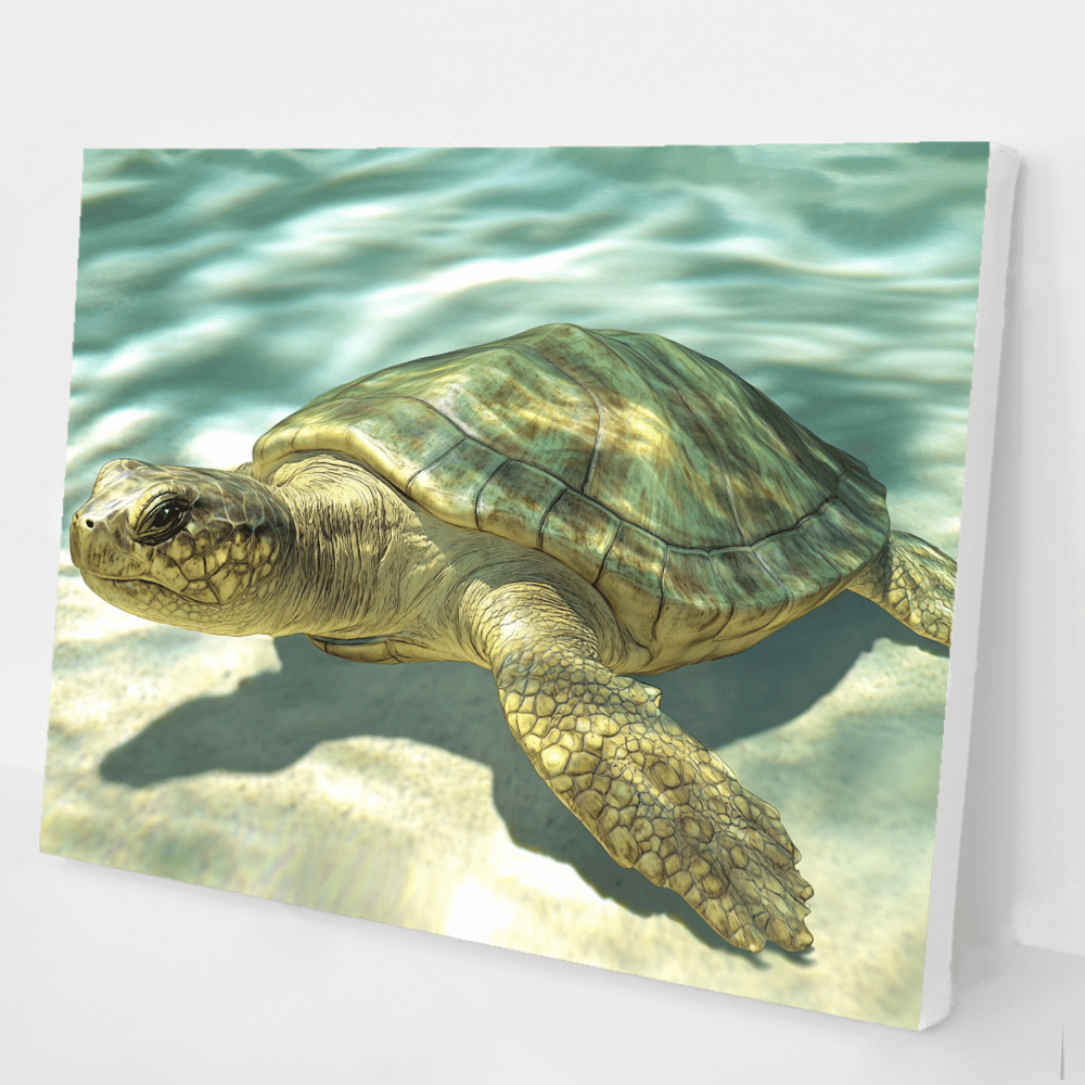 Turtle of the Yangtze River kit – Paint Plot