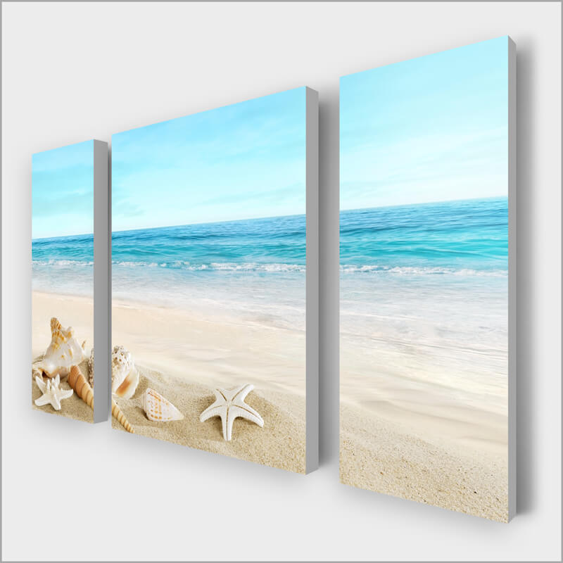 Seashell Beach Multi-Panel kit – Paint Plot