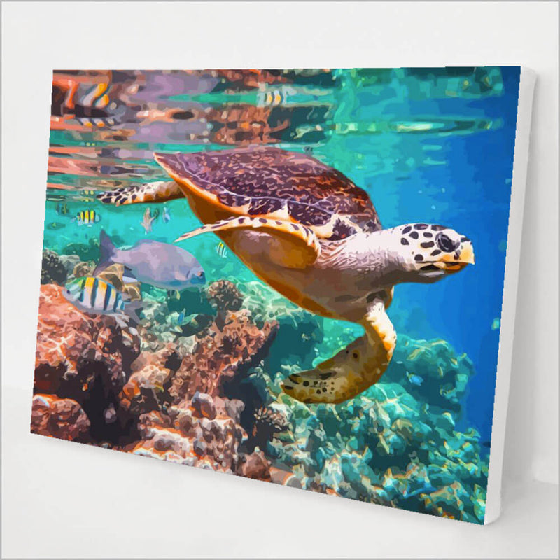 Coral and Sea Turtle kit – Paint Plot