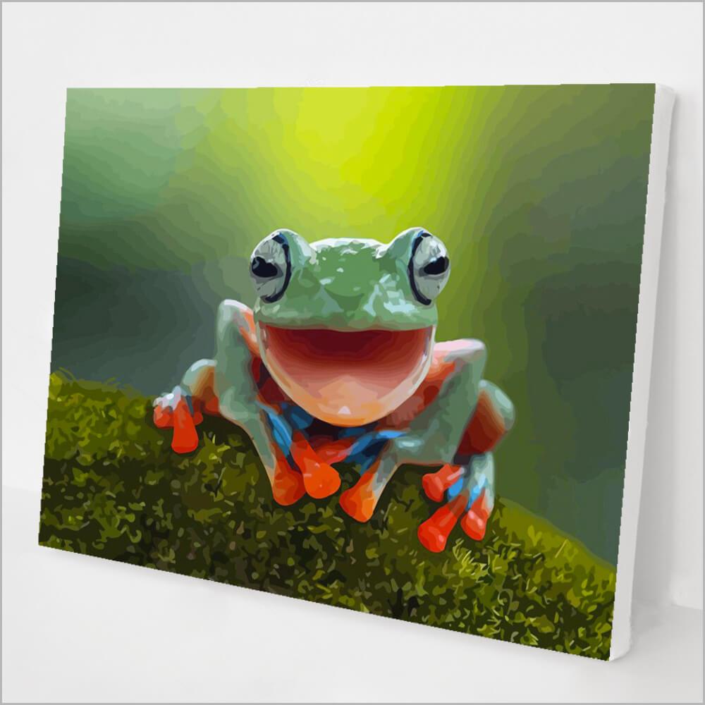 Happy Frog kit – Paint Plot